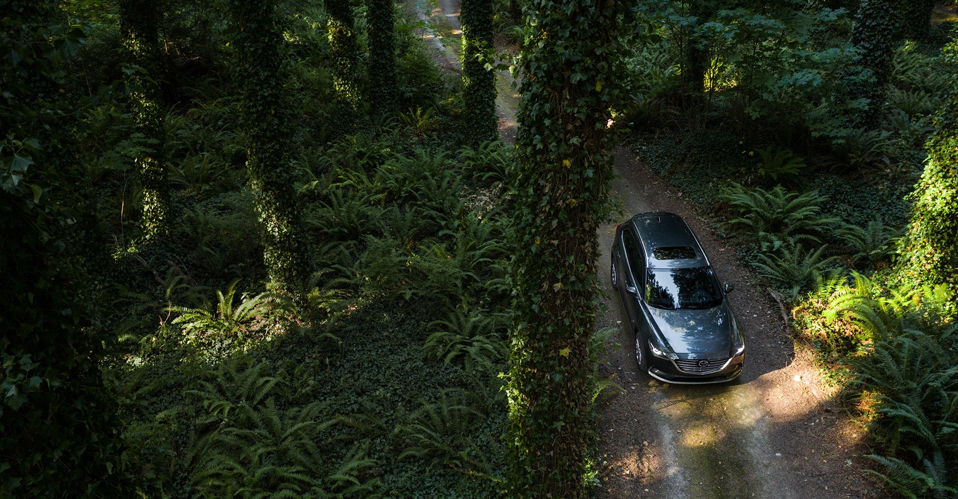 Mazda All-Wheel-Drive Models | Easton, MD | Preston Mazda